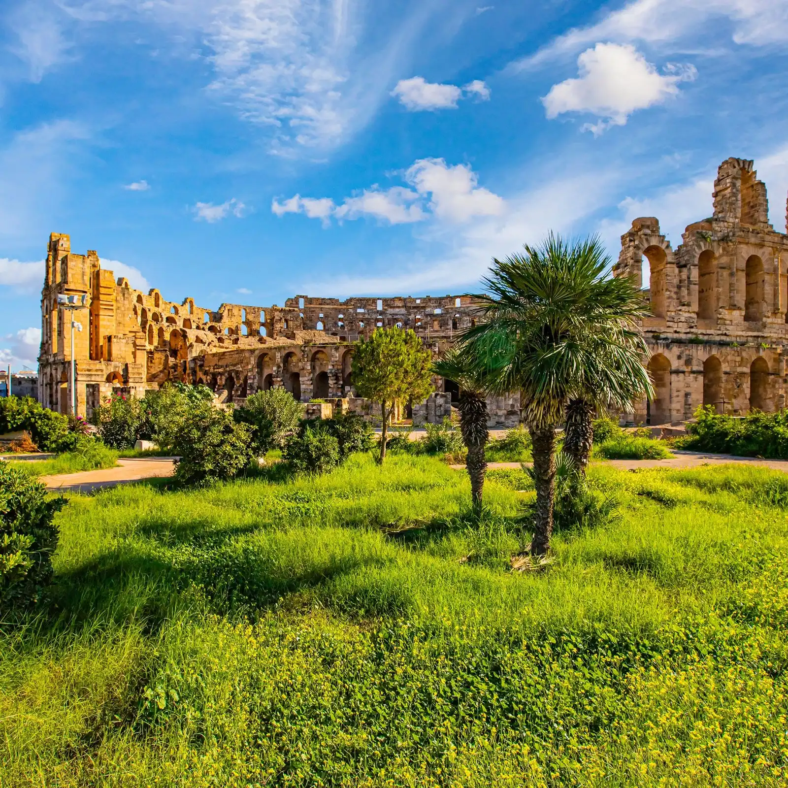 The Cultural Heritage of Tunisia: A Journey Through History and ...
